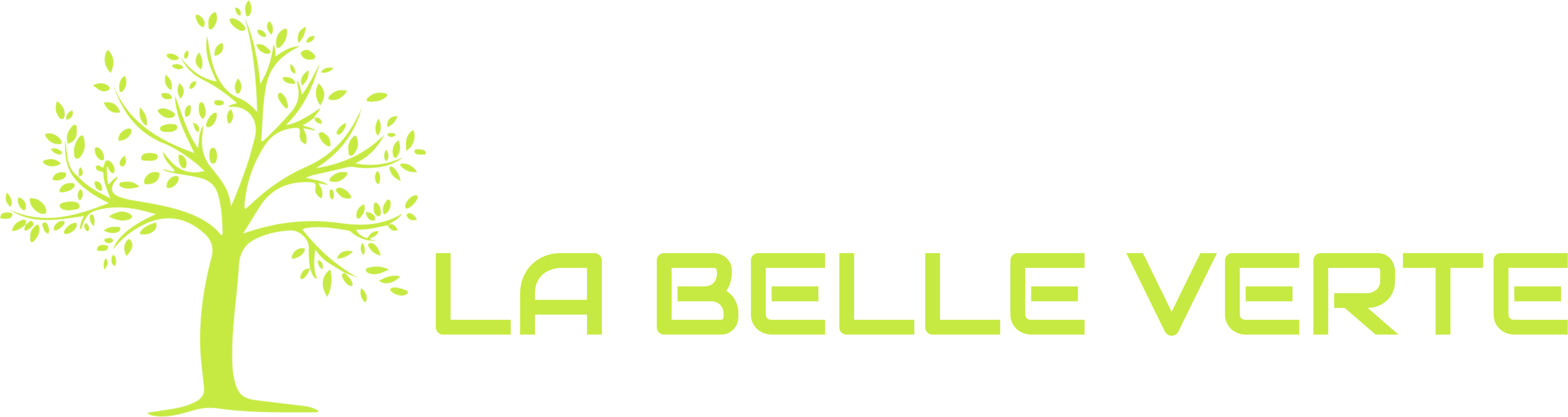La Belle Verte Accueil